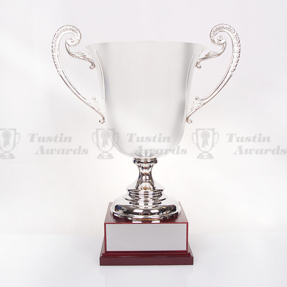 Excellence Cup | Tustin Awards